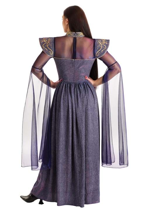 Violet Sorceress Costume for Women | Witch Costumes