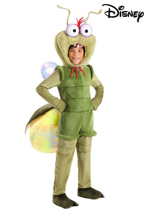 Deluxe Disney Princess and the Frog Kid's Ray Costume | Disney Costumes