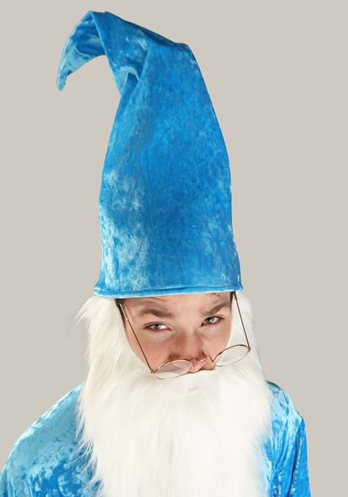 Adult Disney The Sword in the Stone Merlin Costume | Disney Costumes