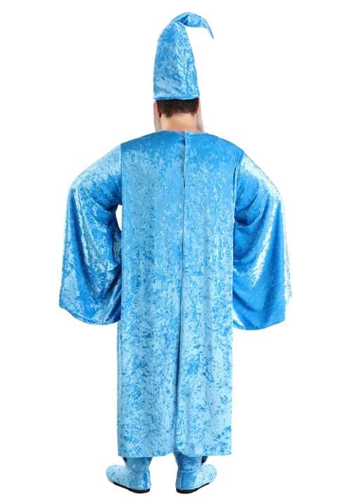 Men's Plus Size Disney The Sword in the Stone Merlin Costume | Disney ...