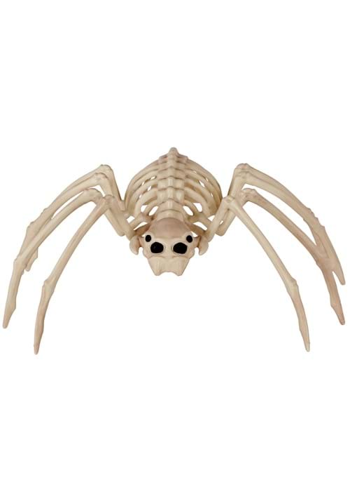 20-Inch Skeleton Spider Decoration | Animal Skeletons