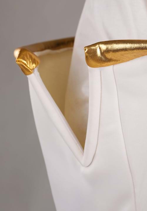 Deluxe Disney Beauty and the Beast Chip Costume for Adults | Disney ...