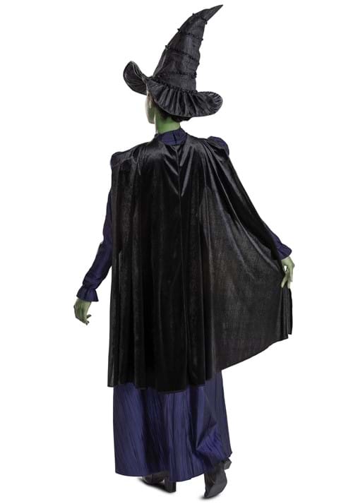 Adult Wicked Deluxe Elphaba Costume | Wicked Costumes