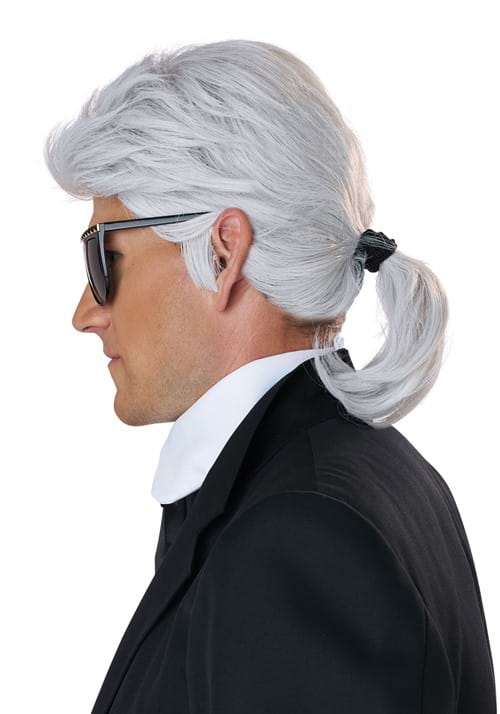 Fashion Legend Men's Wig | Adult Costume Wigs