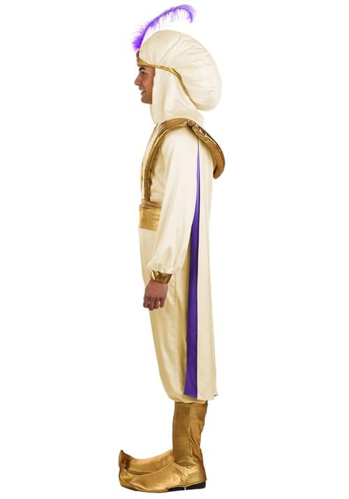 Disney Aladdin Men's Prince Ali Costume | Disney Costumes