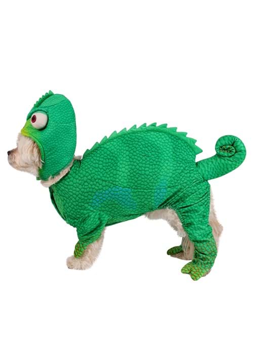 Disney Tangled Pet Pascal Costume | Disney Pet Costumes
