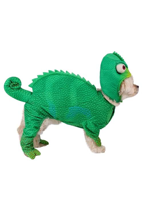 Disney Tangled Pet Pascal Costume | Disney Pet Costumes