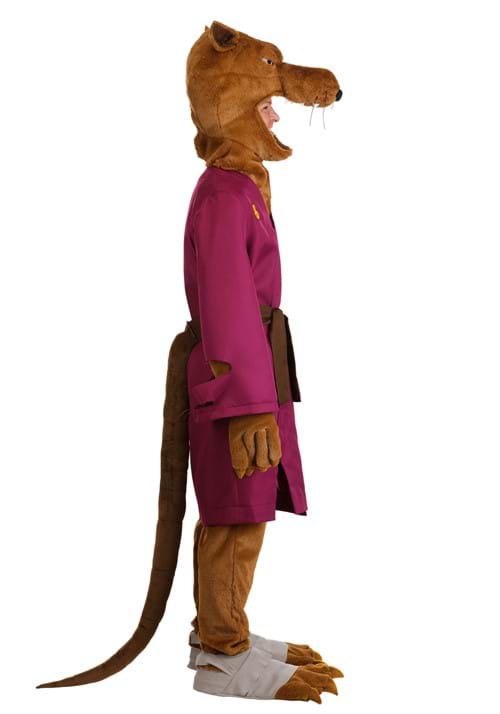 Teenage Mutant Ninja Turtles Master Splinter Men's Costume ...