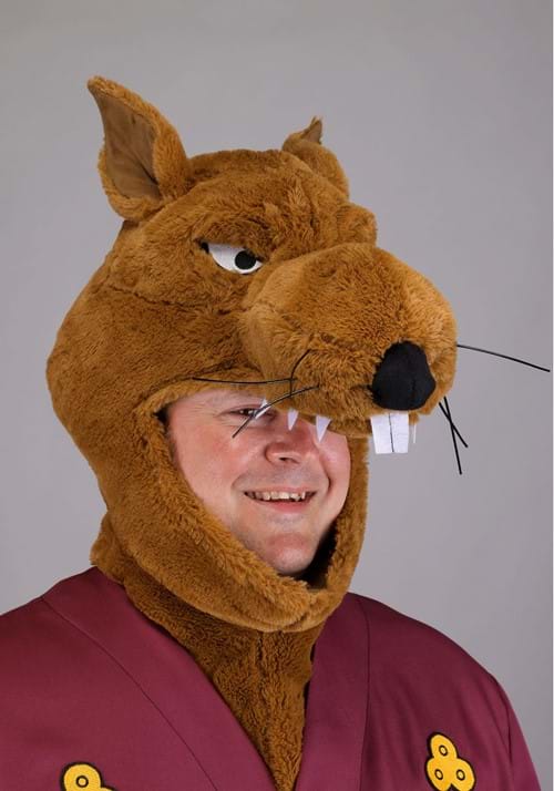 Men's Plus Size Teenage Mutant Ninja Turtles Master Splinter Costume ...