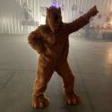 ALF Costume for Adults
