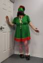 Women's Holiday Elf Plus Size Costume