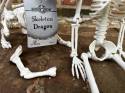 Dragon 7 Inch Skeleton