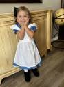 Deluxe Toddler Alice Costume | Exclusive | Made By Us